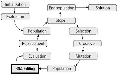 Figure 3 From Contextual Cad Entity Based Parameterization In Structure Optimization Semantic