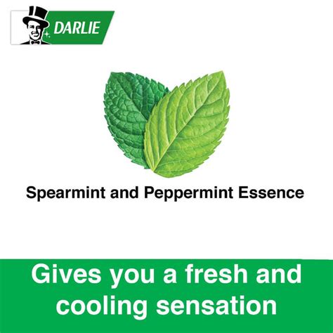 Darlie Double Action Enamel Protect Toothpaste 3x200g Miffy Cup Toothpaste Oral Care