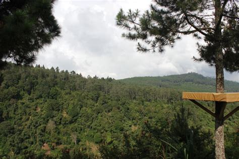 Pesona Wana Wisata Pasir Ipis Jayagiri Lembang Destinasi Bandung