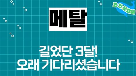 메탈 코인 분석 길었단 3달 오래 기다리셨습니다 메탈코인 메탈코인호재 메탈코인전망 메탈코인시세 메탈코인가격 Youtube