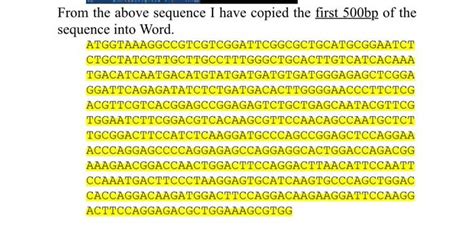 Solved State The Primer Sequence That Will Use To Amplify