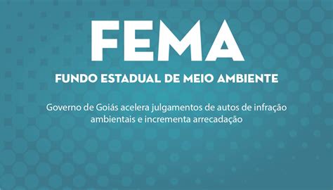 Governo De Goiás Acelera Julgamentos De Autos De Infração Ambientais E