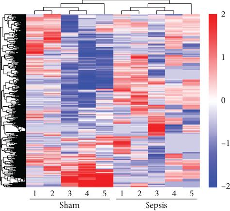 analysis of differentially expressed lncrnas and mrnas a b volcano