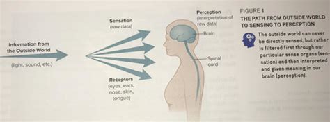 PSY CH Flashcards Quizlet