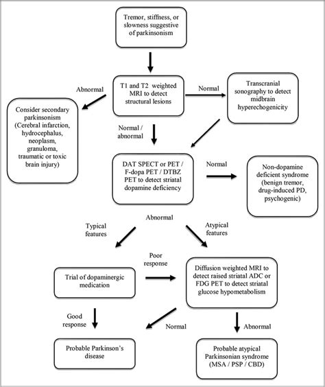 Pd Imaging Algorithm Download Scientific Diagram