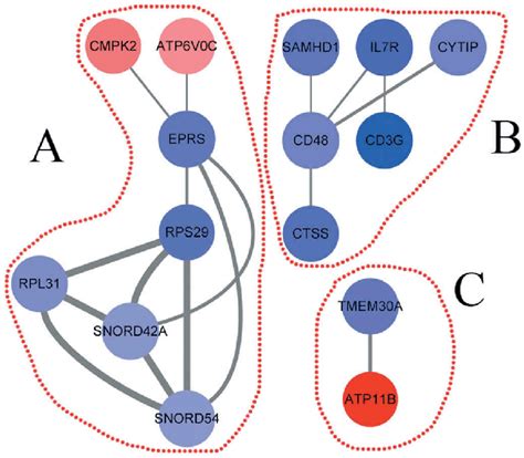 Protein Protein Interaction Networknodes Represent Genes And Edges Download Scientific Diagram