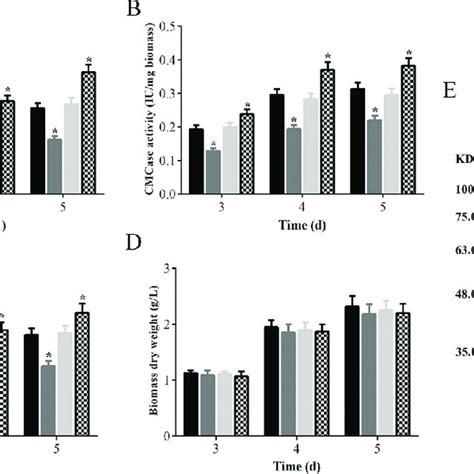 Cellulase Production Of T Reesei Strain Qm6a And The Dace4 Oeace4