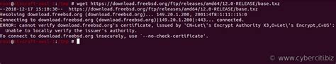 Freebsd Wget Cannot Verify Certificate Issued By Lets Encrypt Nixcraft