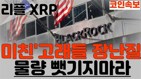 리플 Xrp 미친 고래들 장난질물량 뺏기지마라 Youtube