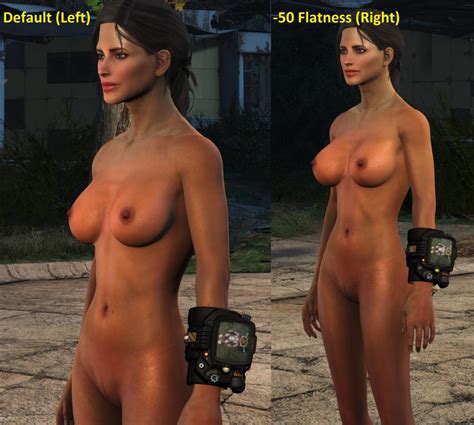 Any Solution For The Crushed Breasts Problem With Cbbe Fallout 4