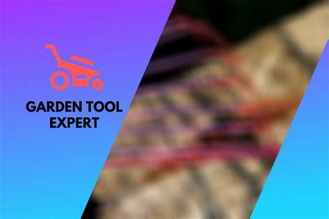 How To Use A Rake Tips From Professionals Garden Tool Expert