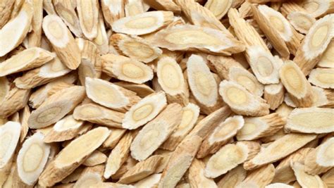 Health Benefits Of Astragalus Root Ayur Times