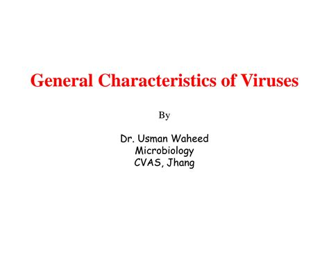 SOLUTION Lect Introduction Of Viruses Studypool