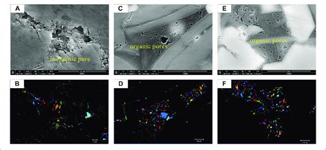 Microphotographs Showing Main Pore Types And Distribution Download Scientific Diagram