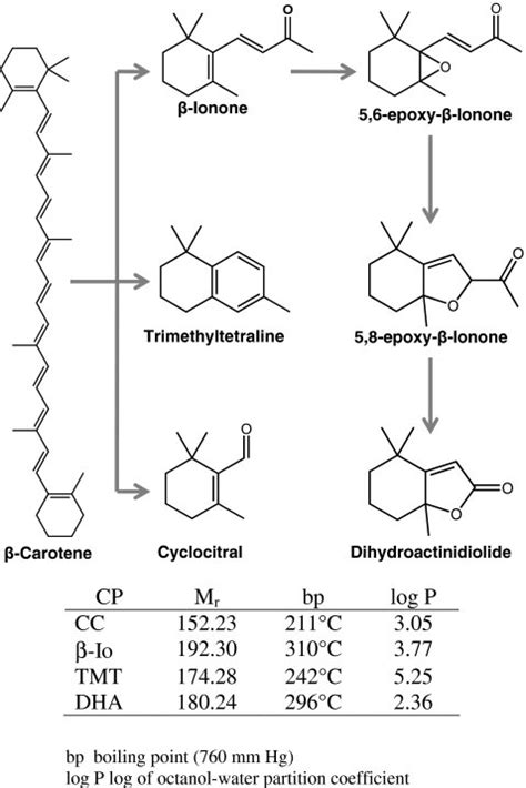 Postulated Degradation Pathways Of β Carotene By Treatment With Download Scientific Diagram
