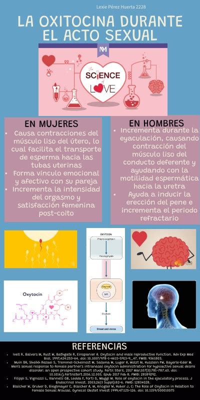 Oxitocina En Sexo Genially