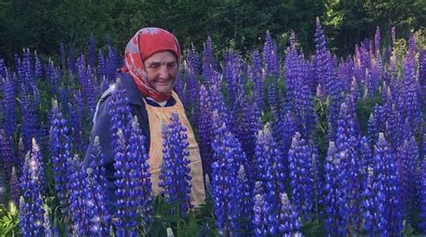 ბებიას სალაროსთან უპატივცემულოდ მოექცნენ მაგრამ სამართლიანობამ გაიმარჯვა