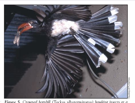 Figure 1 From Ecological Light Pollution Semantic Scholar