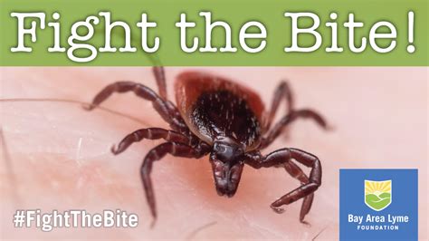 Lyme Disease Awareness Month Social Media Toolkit Bay Area Lyme Foundation