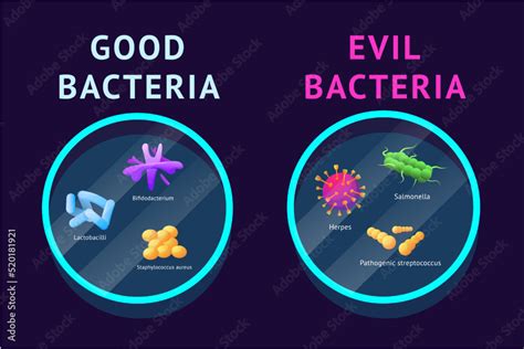 Good And Bad Bacteria Lactobacillus And Probiotic Microbe Germs In