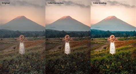 color grading vs color correction difference explained pgbs