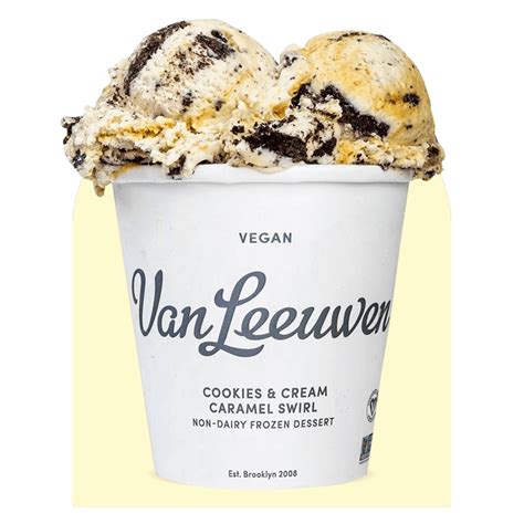 15 Best Van Leeuwen Ice Cream Flavors Parade