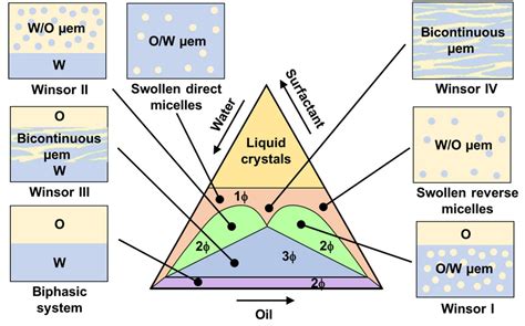 A Schematic Phase Diagram Of A Surfactantwateroil Ternary