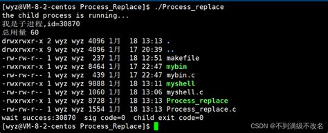 linux进程控制 进程替换） execl 把子进程替换为ls进程 csdn博客