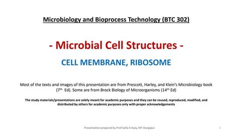 Bacterial Cytology Cell Inclusions Pptx