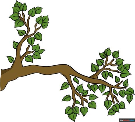 How To Draw A Tree Branch Really Easy Drawing Tutorial Branch