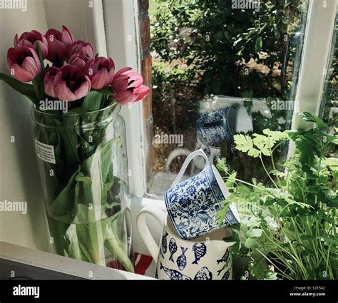 Window Box Display Stock Photo Alamy