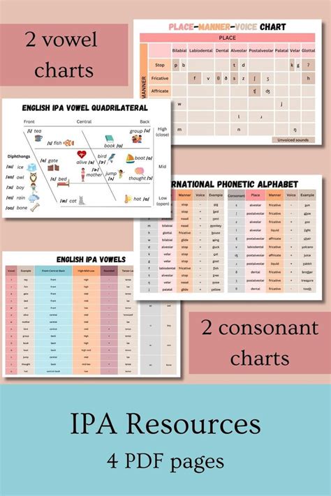 Speech Therapy Ipa Charts Consonants And Vowels
