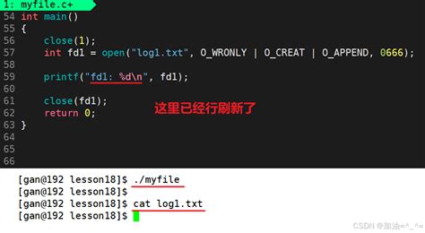【linux】文件操作 文件描述符 文件缓冲区 文件重定向一linux 文件描述符l Csdn博客 【linux】文件操作 文件描述符 文件缓冲区 文件重定向一linux 文件描述符l Csdn博客