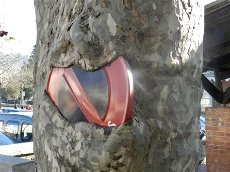 That Tree Sucking A Sign In France R TreesSuckingOnThings
