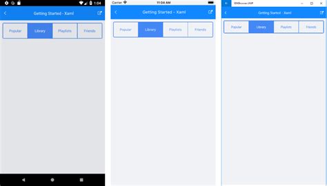 Set Corner Radius On Outer Buttons Of Radsegmented On Android And Uwp
