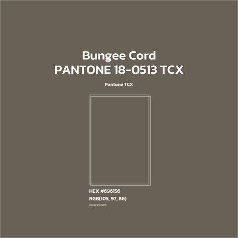 About Pantone 18 0513 Tcx Bungee Cord Color Color Codes Matching