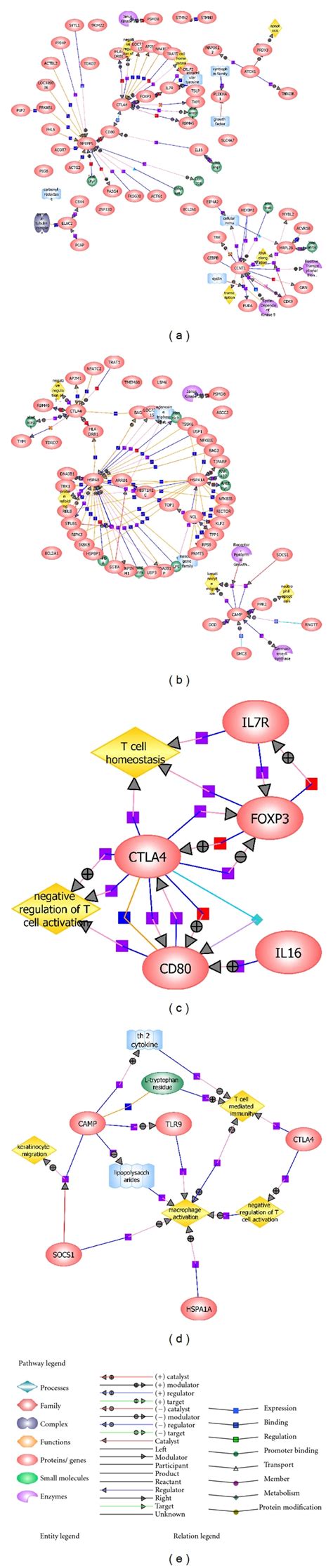 networks of cold and heat pattern comparisons based on genespring gx v