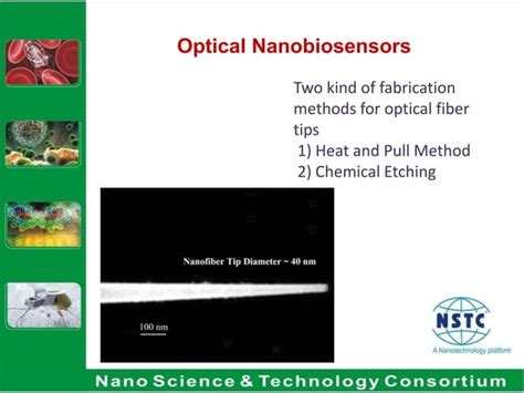 Nanobiosensors Pptx Chemistry Science