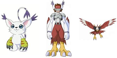 Gatomon Digivolution Chart Gatomon Digivolution Chart