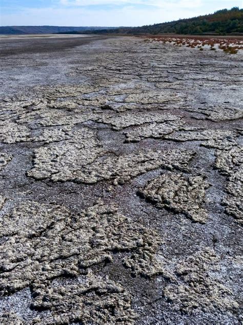 Dried Shallow Pond And Muddy Bottom Covered With A Layer Of Dry Algae
