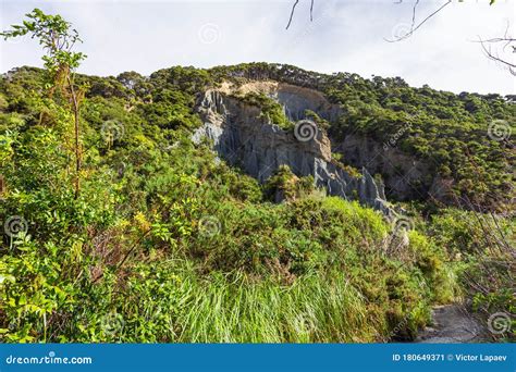 Views Of Putangirua Pinnacles North Island New Zealand Stock Image