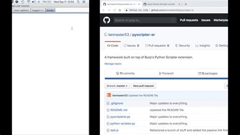 Pyscripter Er Youtube