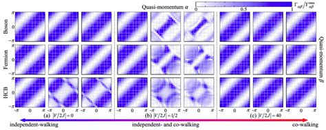 Color Online Two Particle Correlations Of Quantum Walkers In Position