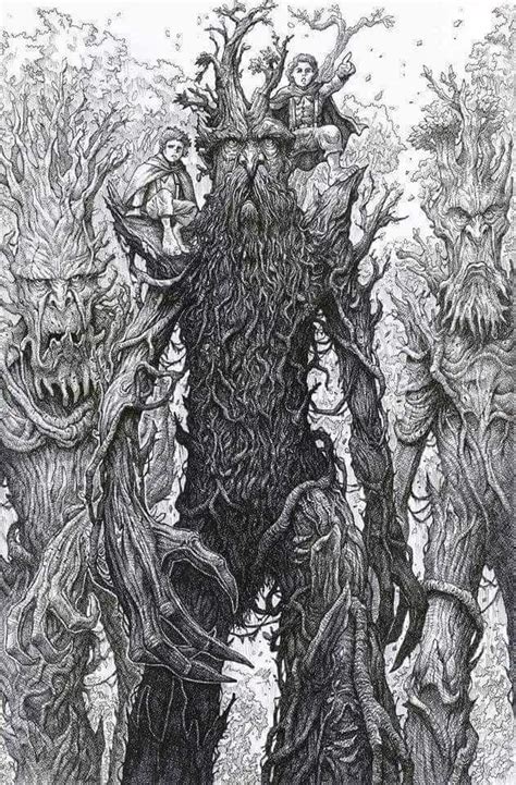 The Ents Nthe Hobbits Ents Lord Of The Rings Ents Drawing Mythology