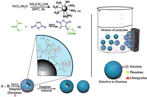 Schematic Illustration Of The Preparation Of Magnetic Mips And Download Scientific Diagram
