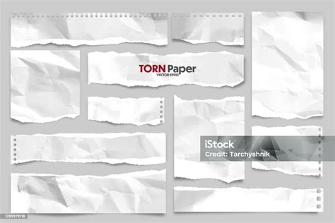 흰색 찢어진 구겨진 종이 스트립 컬렉션 찢어진 가장자리가있는 현실적인 종이 스크랩 스티커 노트 노트북 페이지의 조각 벡터