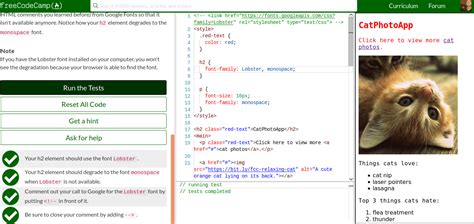 Basic Css Specify How Fonts Should Degrade I Keep Getting Error Html Css The Freecodecamp