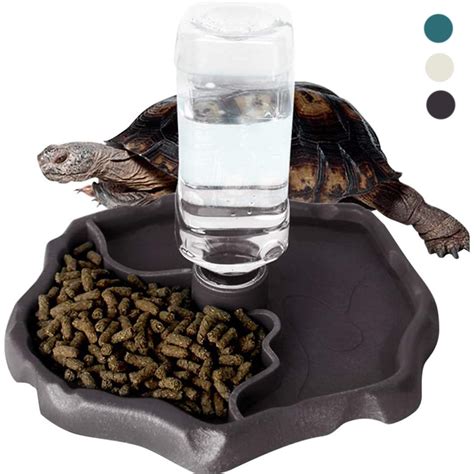 자동 파충류 피더 거북이 물 디스펜서 병 거북이 마시는 요리 도마뱀을 위한 음식 물 그릇 먹이 접시 Aliexpress
