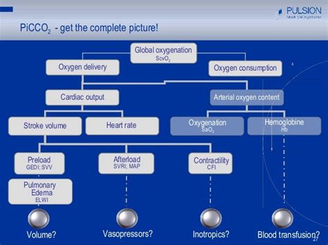 Physiology Of Hemodynamics And Picco Parameters In Detail