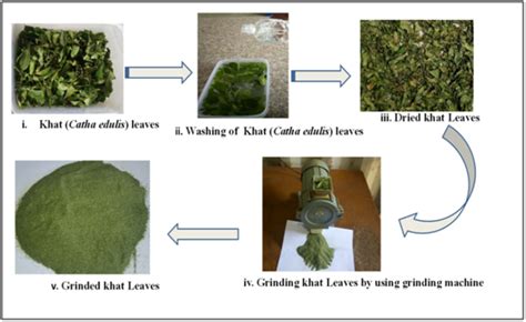 Green Synthesis Of Magnetite Nanoparticles Using Catha Edulis Plant Leaf Extract For Removal Of